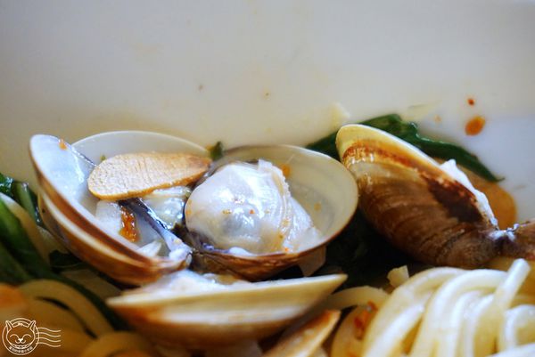 遇見PASTA和食 ※【星羽是吃貨-台中南區】中興大學旁巷弄用餐小仙境，環境放鬆餐點CP值高高。-台灣美食專區