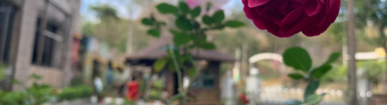 新竹縣私立園區蒙特梭利幼兒園 | 公司資訊 - 1111人力銀行